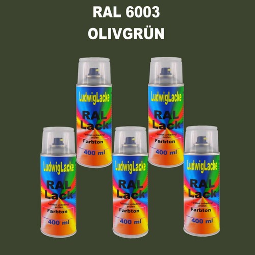 RAL 6003 Vert Olive MATT Bombes De Peinture 5 X 400ml | eBay