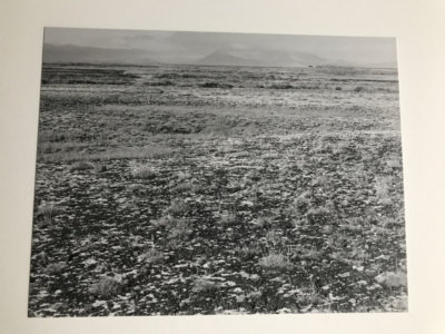 Signed Fred Picker Original Photo Print - Iceland, 1974 - Zone VI | eBay