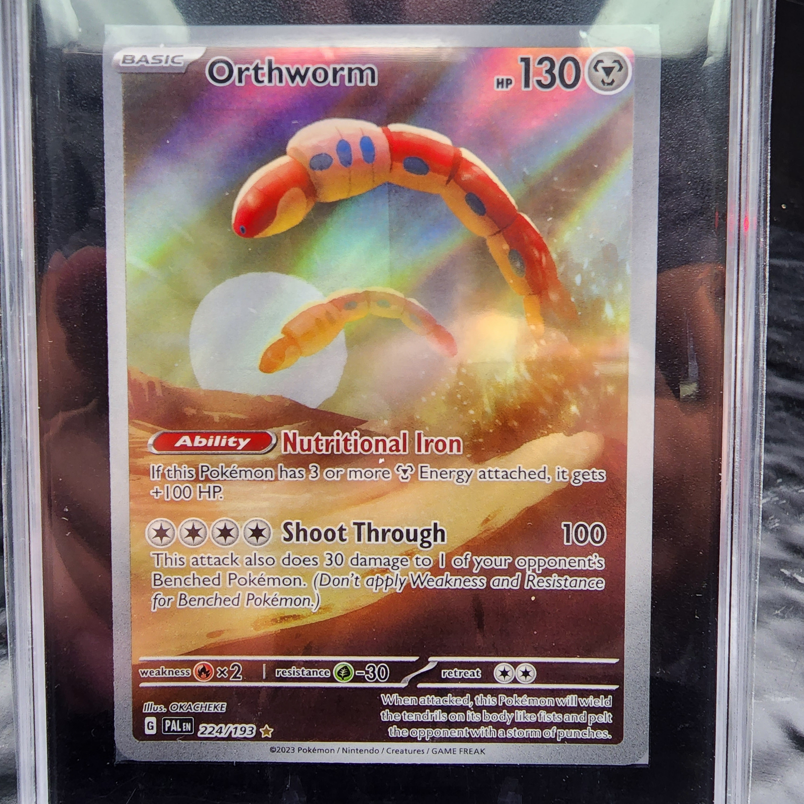 Orthworm 224/193 Sv02: Paldea Evolved Holo for sale online | eBay