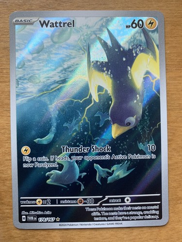 Pokémon Wattrel Twilight Masquerade 178/167 Holo Illustration Rare (NM ...