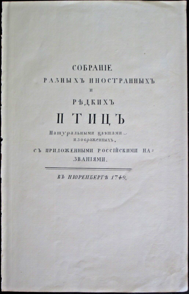 Edwards,The Bittern from Hudson Bay,hand color. engraving,1748 #136. | eBay