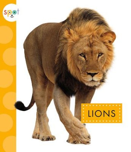 Lions (Spot African Animals) by Klukow, Mary Ellen [Paperback ...