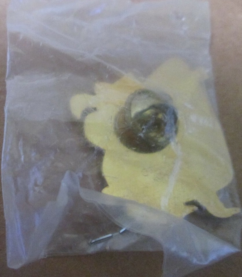 Florida FL DECA with Palm Tree lapel pinback Pin 1.5" MIP | eBay