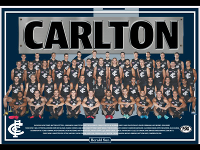 BIG 420mm,CARLTON BLUES TEAM POSTER ,AFL FOOTBALL,GR8 FEEDBACKS | eBay