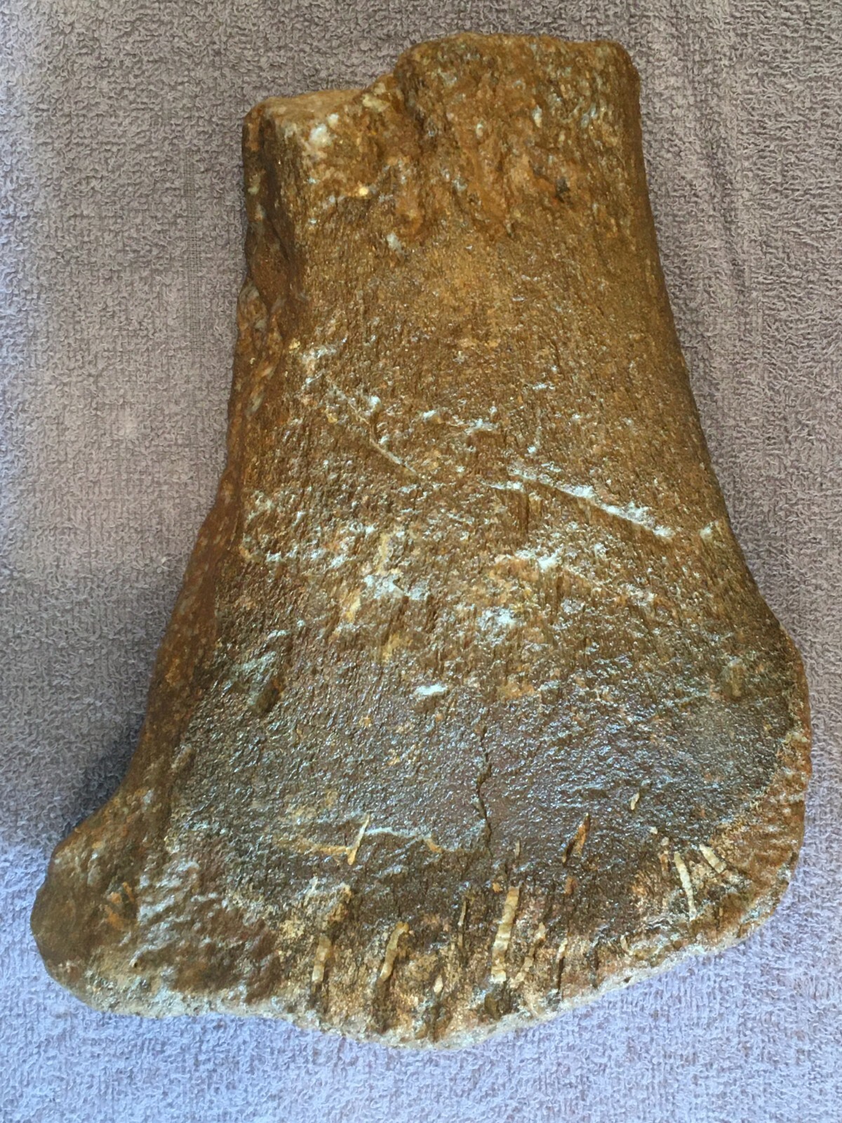 ICHTHYOSAUR-ICHTHYOSAURUS-HUMERUS-HEAVY & HUGE FOSSIL PADDLE BONE ...