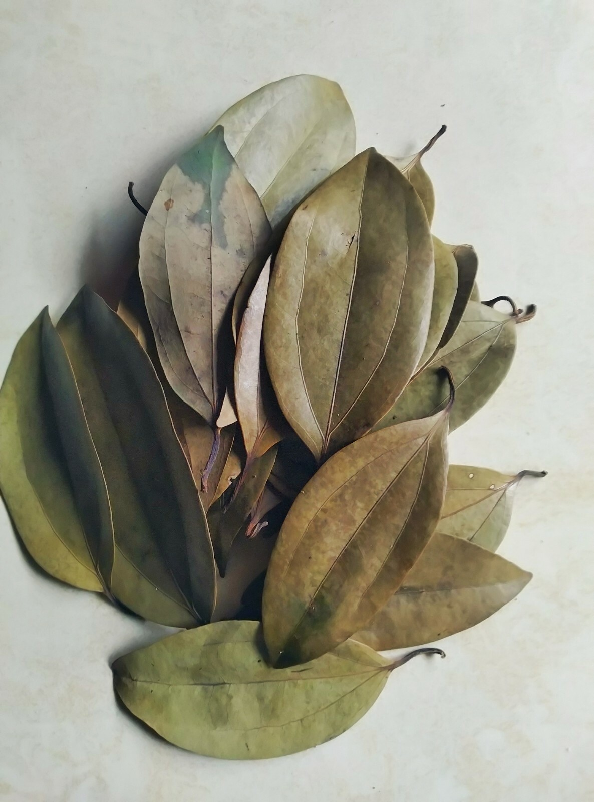 Cinnamon Leaves 100+ leaves Sundried Organic Pure Ceylon Premium Herbal ...