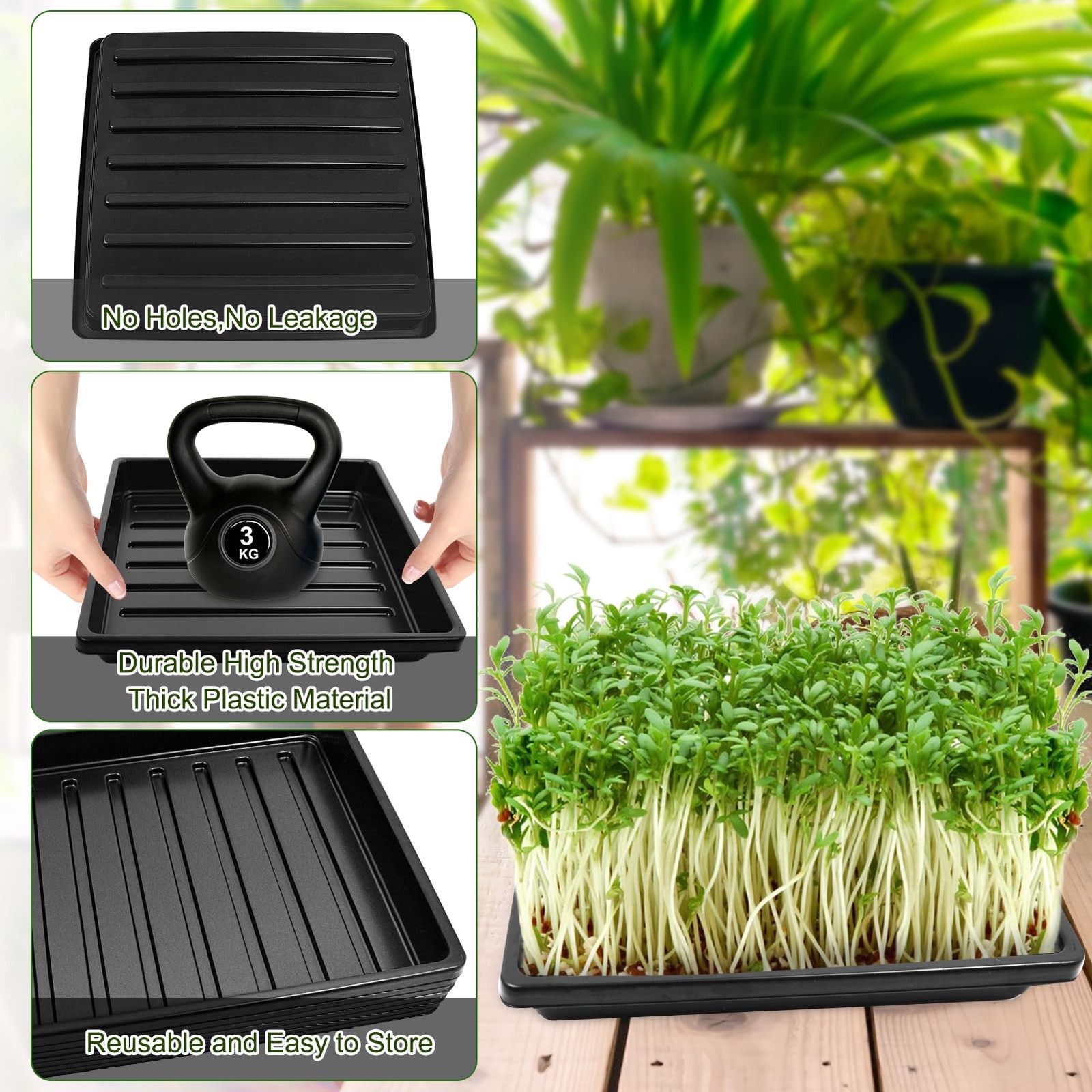 6Set Microgreens Growing Mat with Tray, Microgreen 10" x x 0.2", Black ...