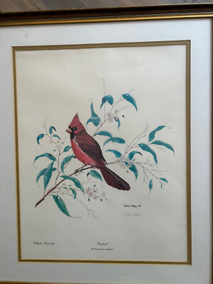 Gene Gray Red Cardinal Bird Wildlife Art Print Series XIII, Signed | eBay