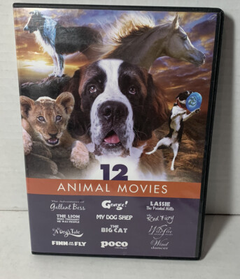 Animal Movies: Family Film (DVD) 683904525796| eBay