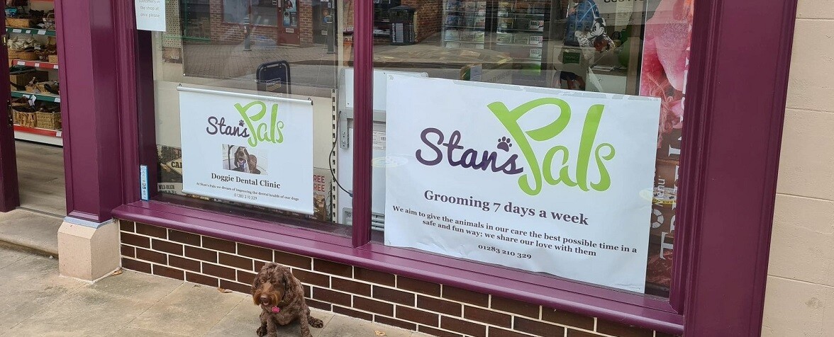 Stan's Pals Pet Shop | eBay Stores