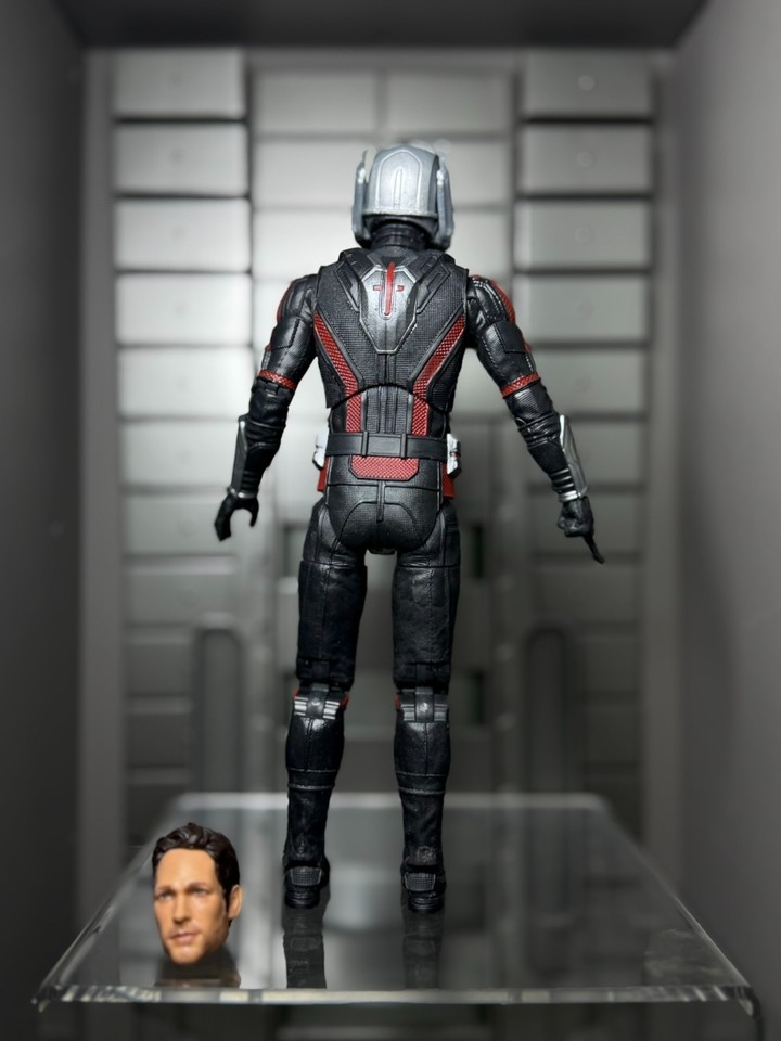 Marvel Legends Antman Quantumania Ant-Man Figure Cassie Lang Wave LOOSE ...