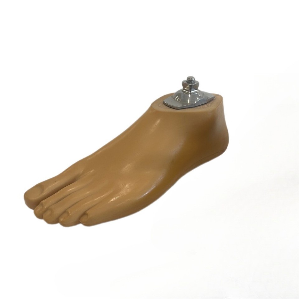 SACH Prosthetic Foot Adapter, Universal Fit, Size 21-30, Left or Right ...