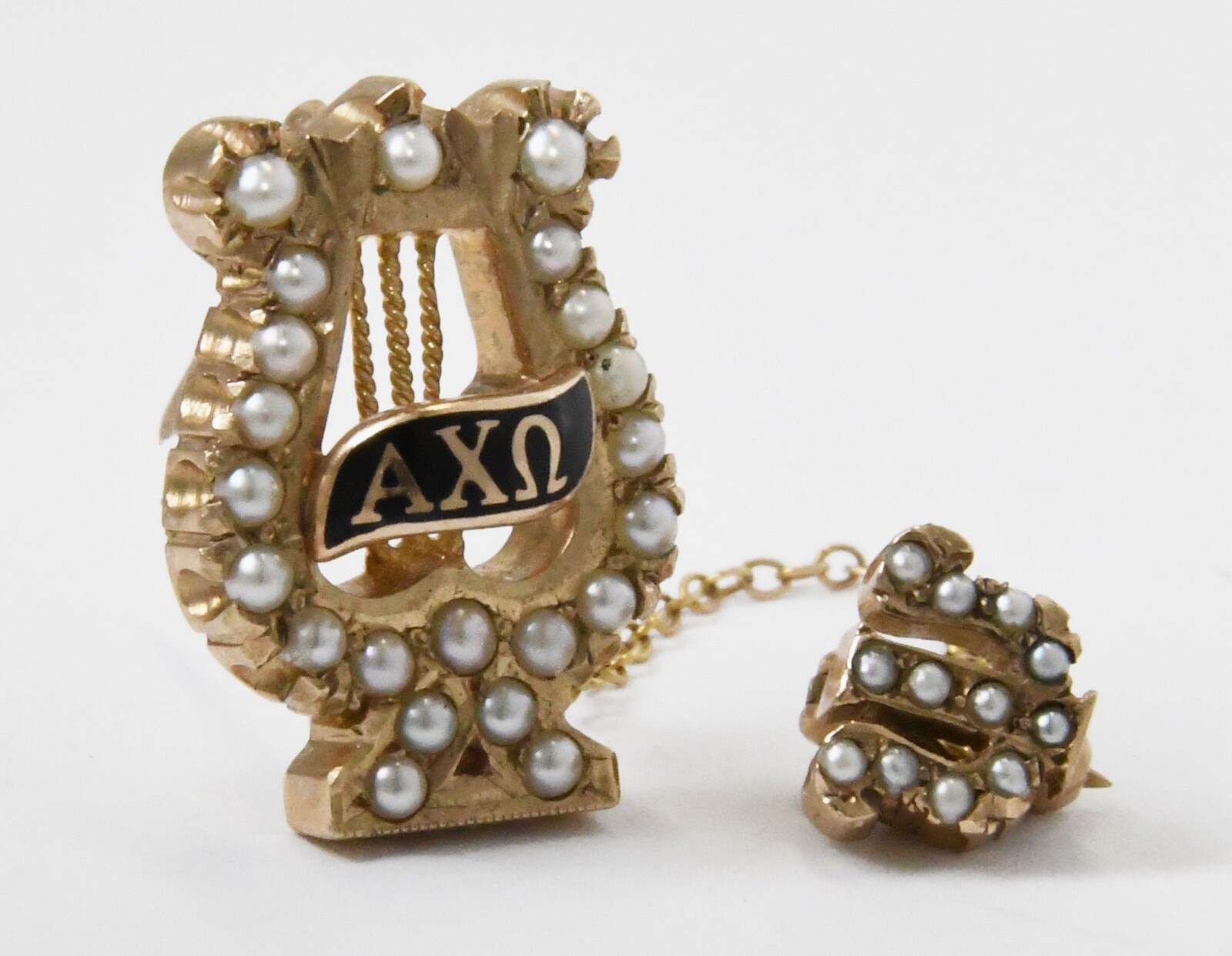Axo Lyre Bird