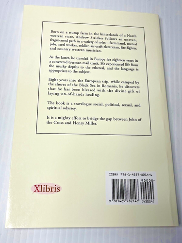 In His Footsteps by Andrew Stricker (2007, Trade Paperback) for sale ...