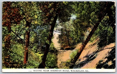 Postcard IL Waukegan Illinois Ravine Near Sheridan Road Teich IL02 | eBay
