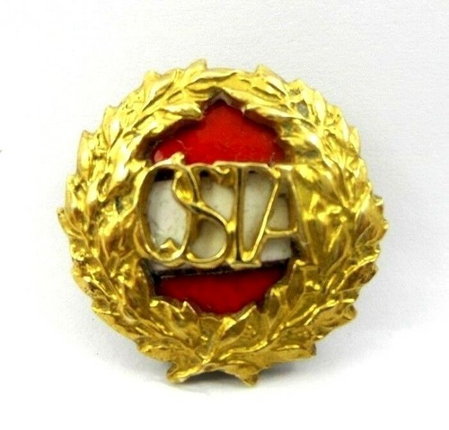 Vintage Old OSTA Austria Sports Gymnastics Association Membership Badge ...