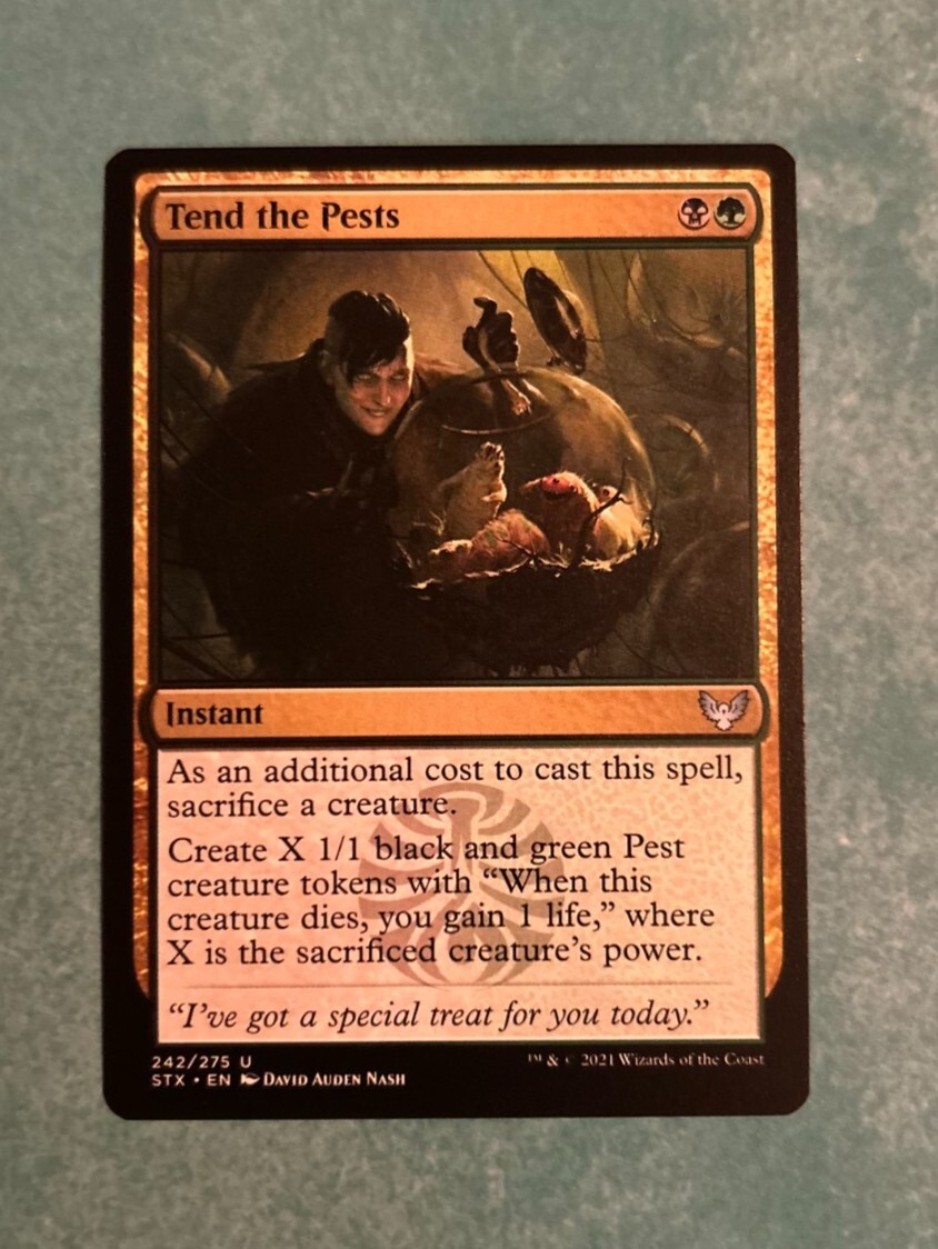 MTG Tend the Pests Strixhaven: School of Mages 242/275 Regular Uncommon ...