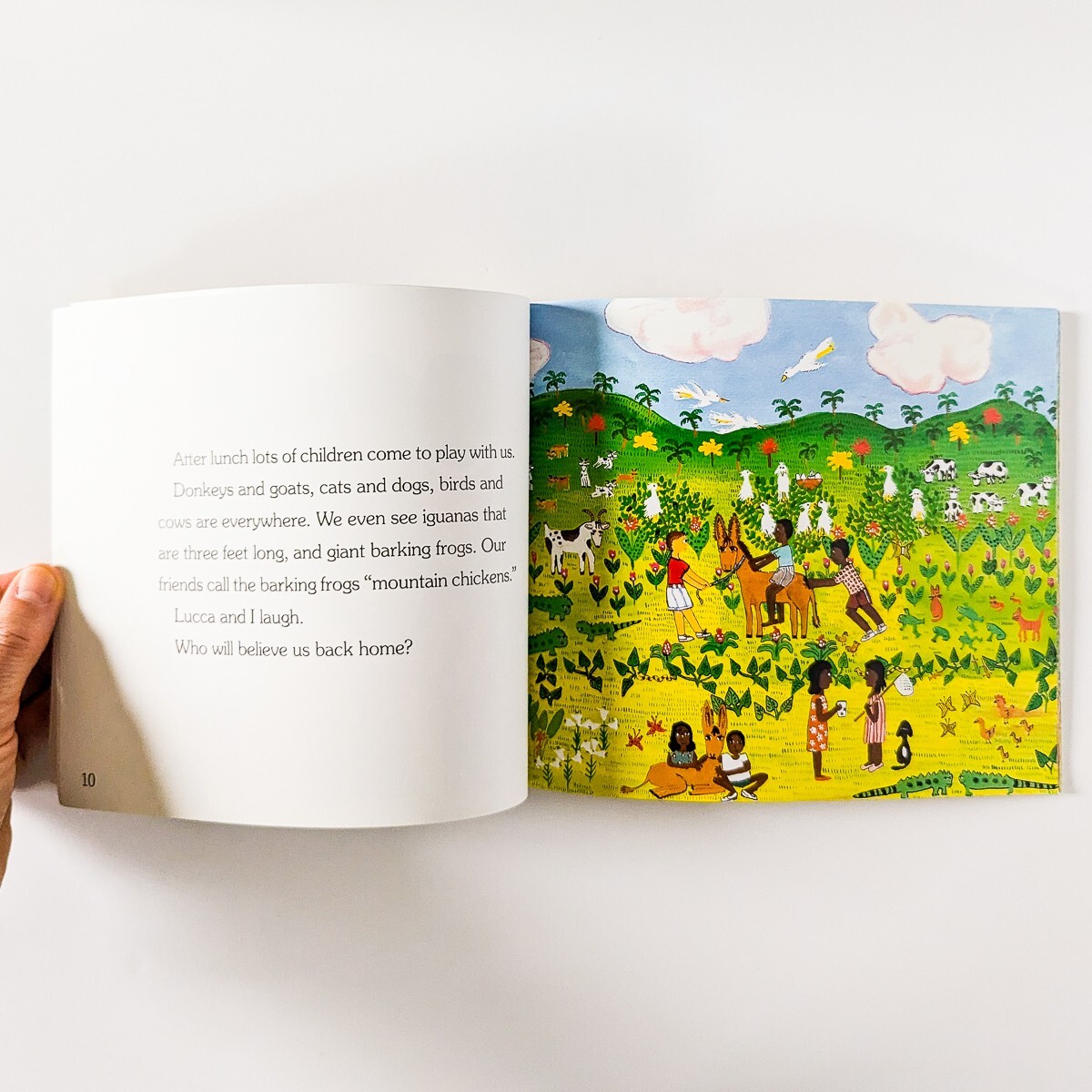 MY LITTLE ISLAND by Frane Lessac (1987 Reading Rainbow Book) | eBay