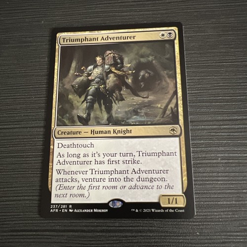 Triumphant Adventurer Adventures in the Forgotten Realms Magic The ...