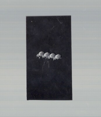 Four oak leaf device attachment 3/16 inch size oak leaves silver ...