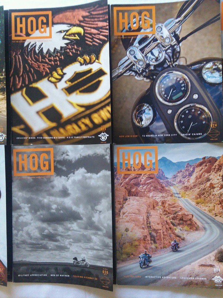 Hog Magazine Issues 21-30 Near Mint Harley Davidson | eBay