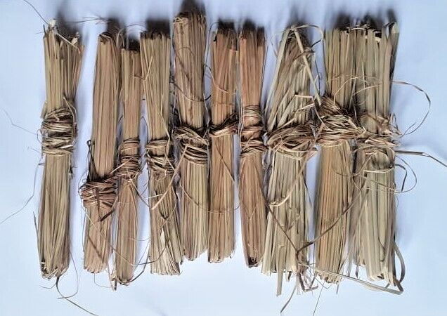 Pure indian Dharba Grass puja Grass Kusha used For Pooja 10 small ...