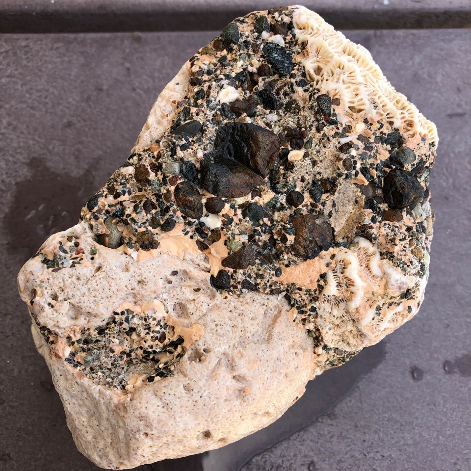 Pudding Stone, Terrazzo, Sea Rock, Sea Stone, Stone Decor, Fish Tank ...