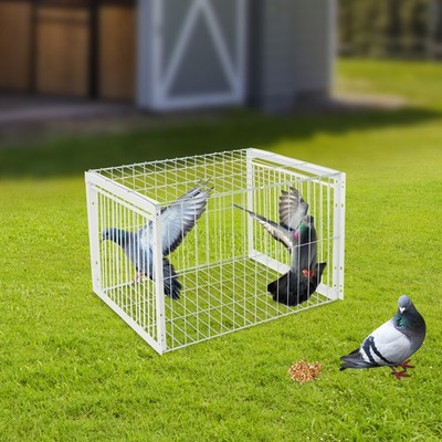 Pigeon Cage, One-way Entry Birds Trap Cage , Pigeon Trap W/escape-proof ...