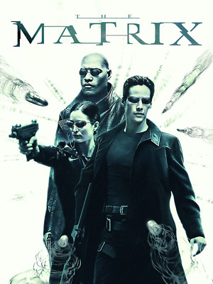 MATRIX on DVD [1999 - DVD DISC ONLY] No Case/No Artwork - Disc is ...