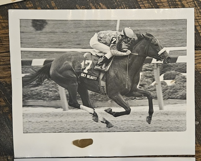 Original Track/Press Photos - Sky Beauty, 1994 Ruffian, 1992 Adirondack ...