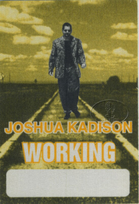 JOSHUA KADISON 1995 Tour Backstage Pass | eBay