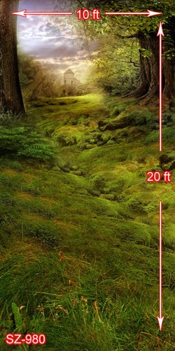 Outdoor 10'x20'Computer/Digital Vinyl Scenic Photo Backdrop Background ...