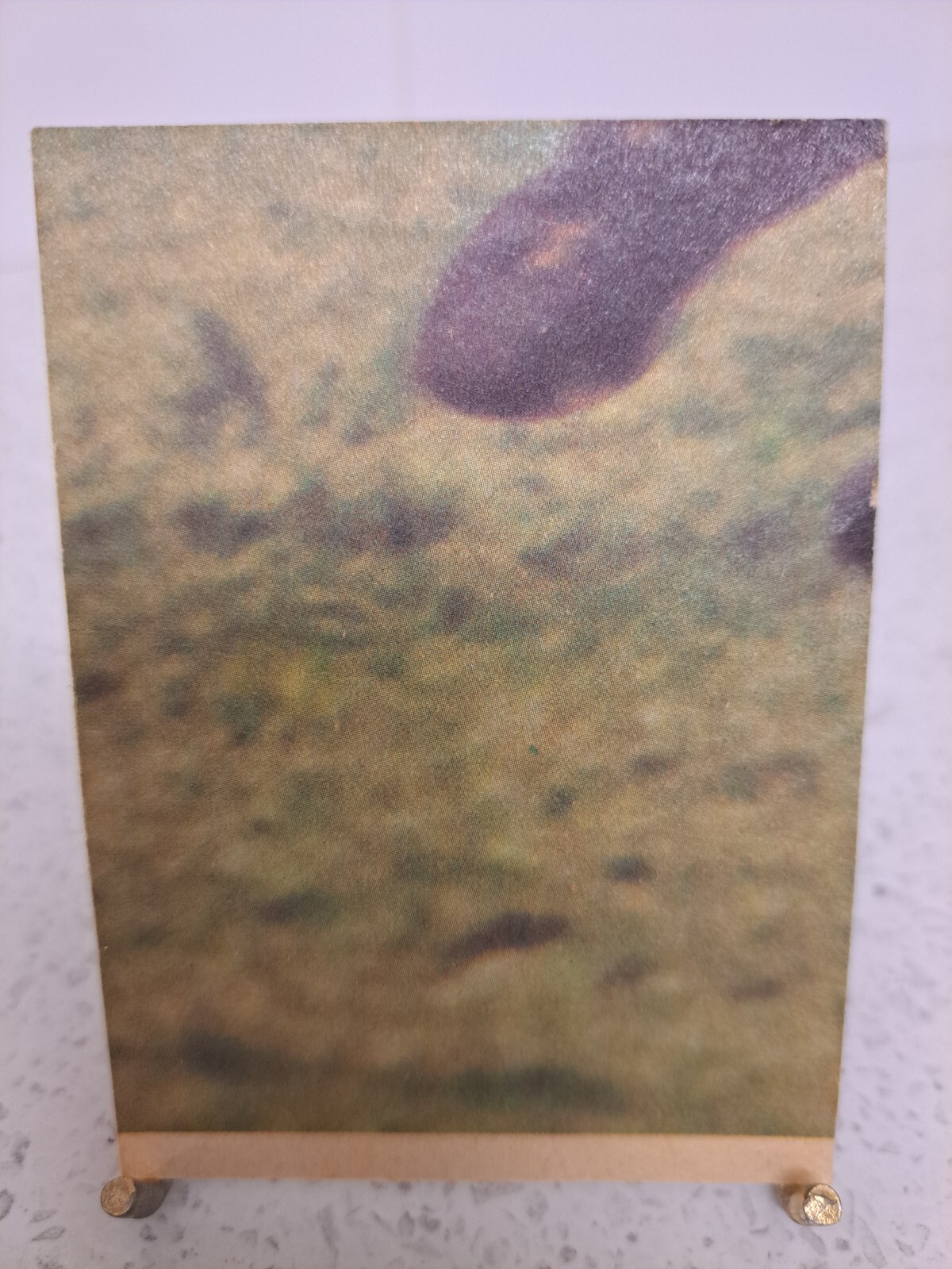 1980 SCANLENS PENRITH NSW RFL CARD LEW ZIVANOVIC, 68 0F 168 | eBay