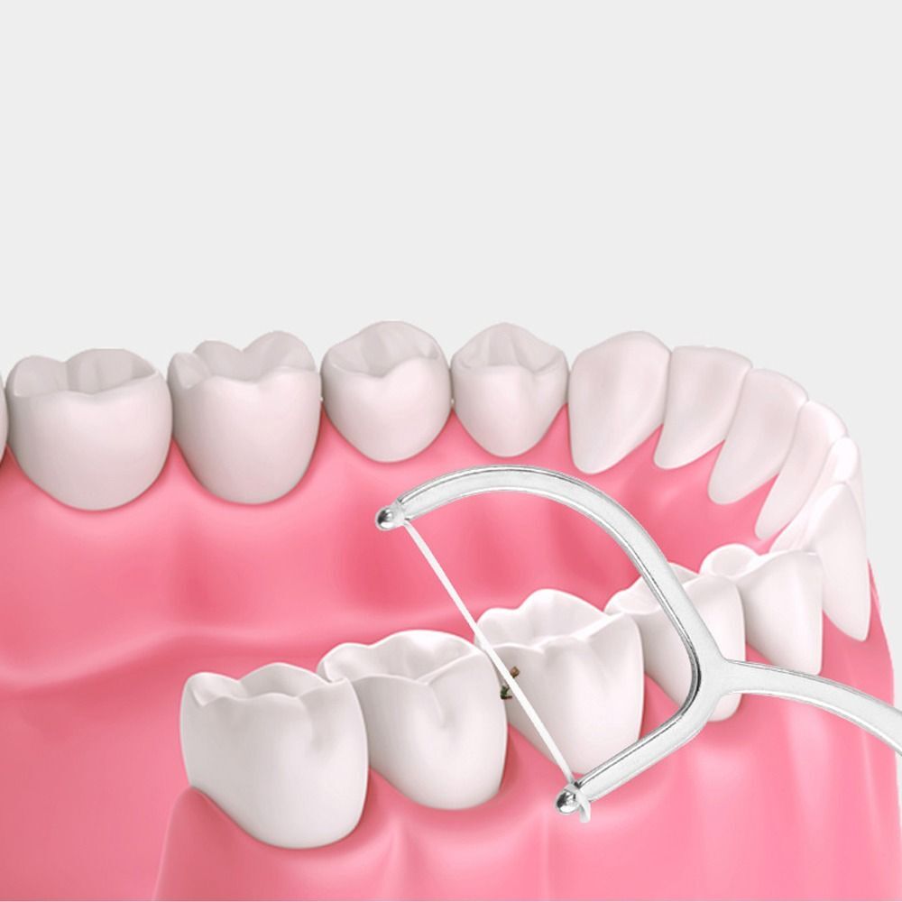 Portable Stainless Steel Toothpicks Reusable Dental Floss Tooth Floss ...