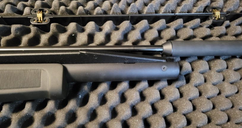 FX Independence .22 Air Rifle Multi Pump Pneumatic (PCP) | eBay