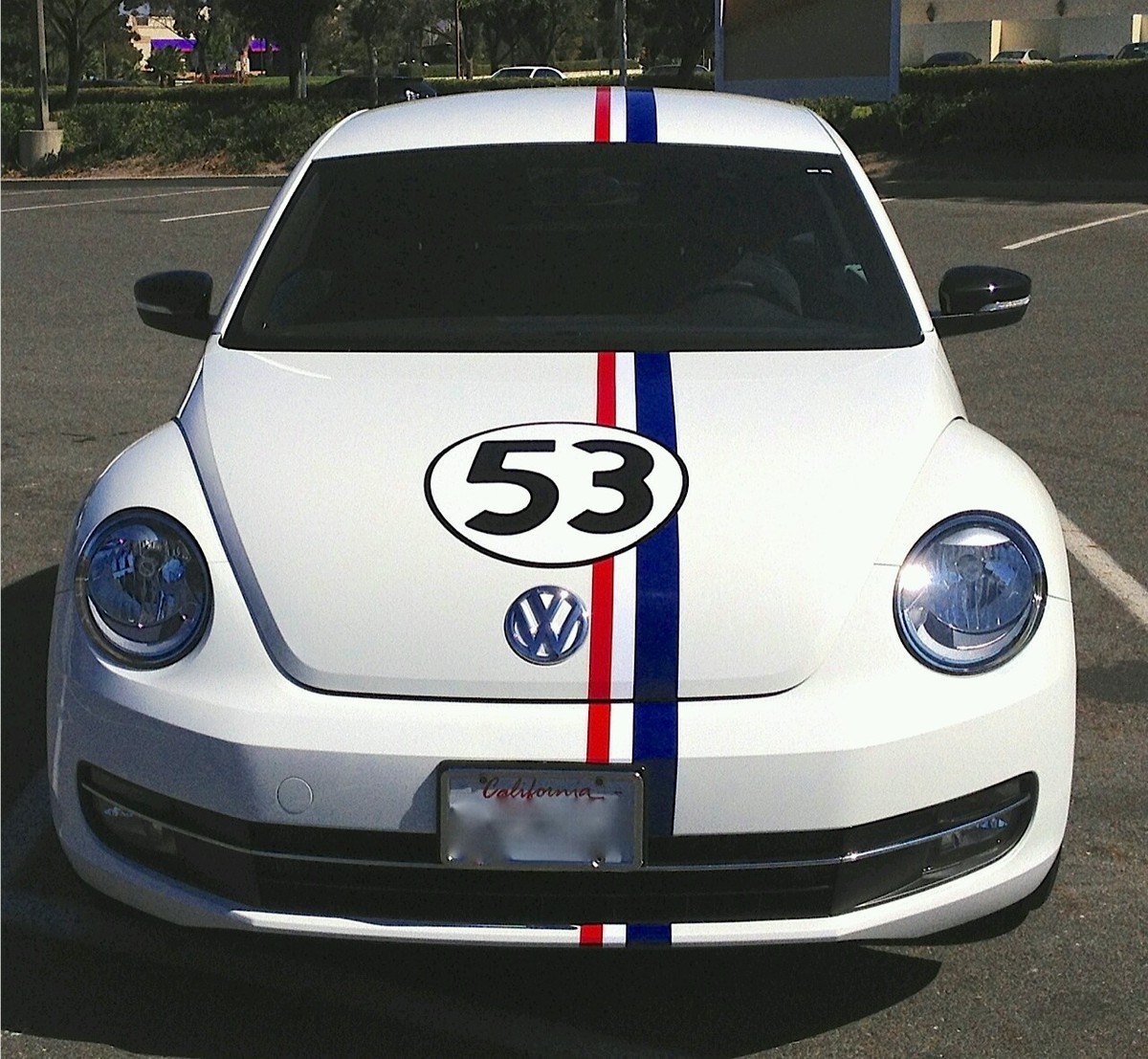 Herbie The Love Bug Decals