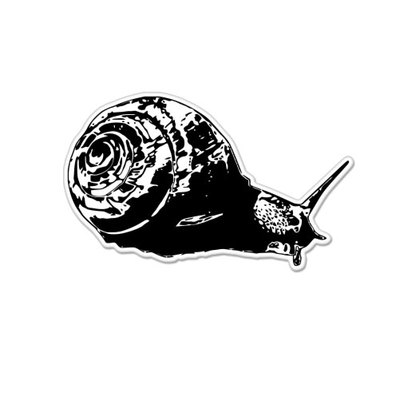 Snail Meme College Vinyl Car Sticker Decal 5" x 3" | eBay
