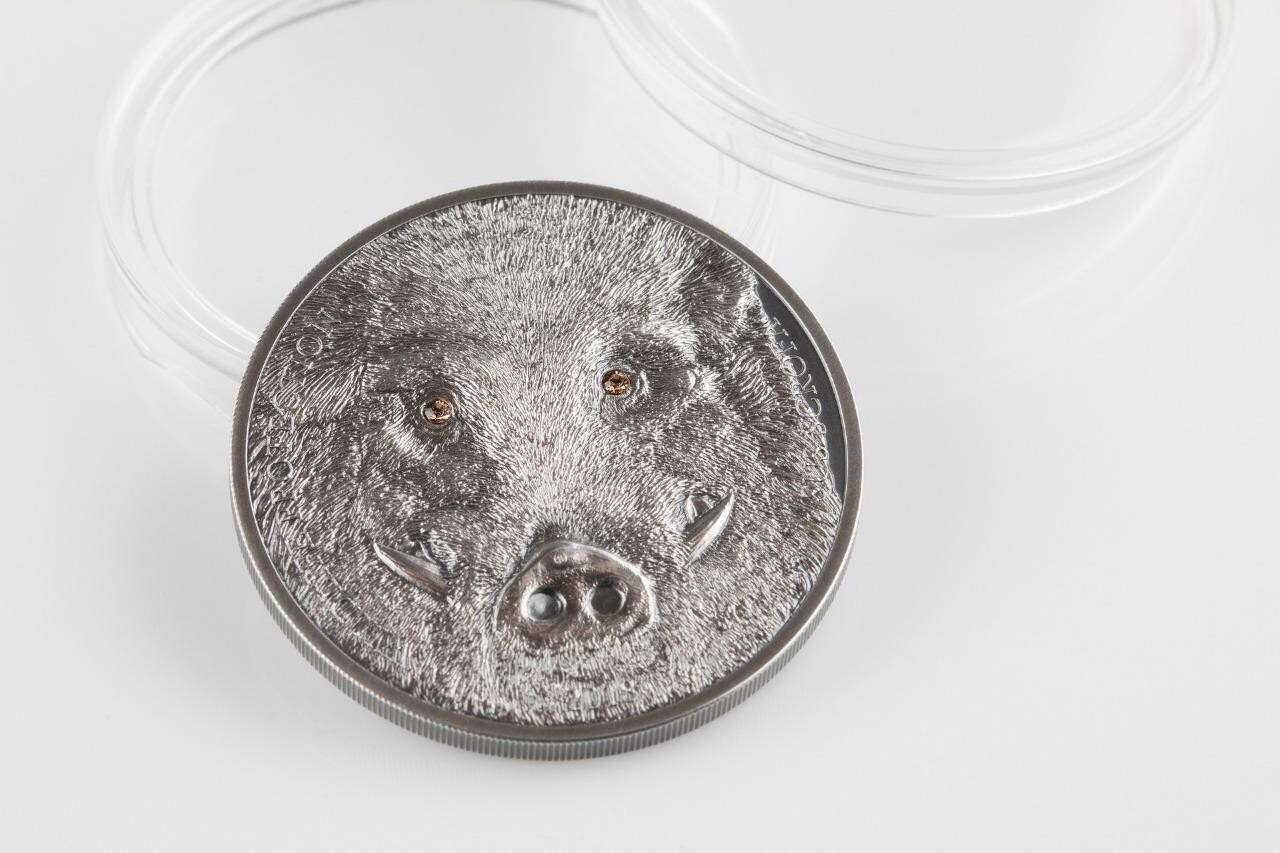 2018 500 Togrog Mongolian -WILD BOAR 1oz 999 Silver Coin - Custom Box ...