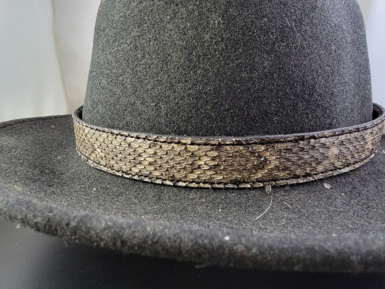 Rattlesnake skin hatband adjustable Horse shoe buckle set Western ...