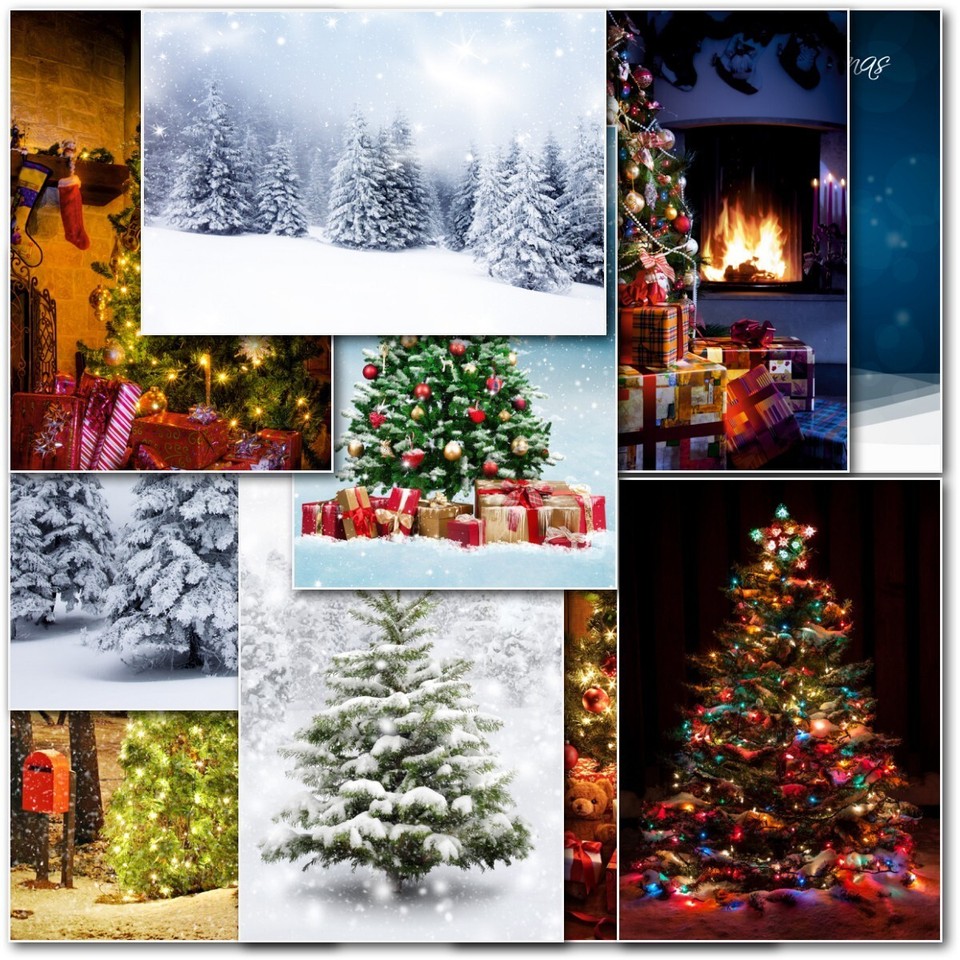 Doodlecards Pack of 10 Christmas Cards Christmas Trees | eBay UK
