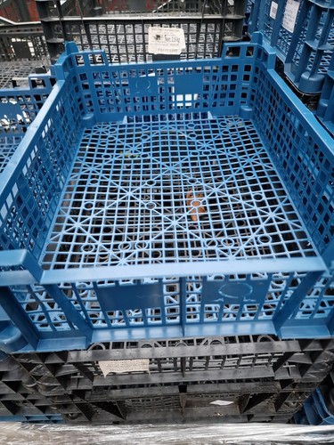 Mushroom Crates X 10 Stackable Storage Plastic Carry Trays 40cm x 30cm ...