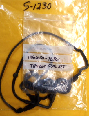 Triumph NOS OEM Cam Cover Seal Set 1260034-T0301 S-1230 | eBay