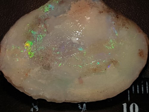 38 CARATS SPECIMEN OPALISED SHELL RARE FOSSIL COLOUR GREEN FROM COOBER ...