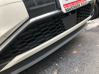 NEW OEM NISSAN MURANO 2019-2022 BLACK LOWER BUMPER GRILLE / MESH | eBay