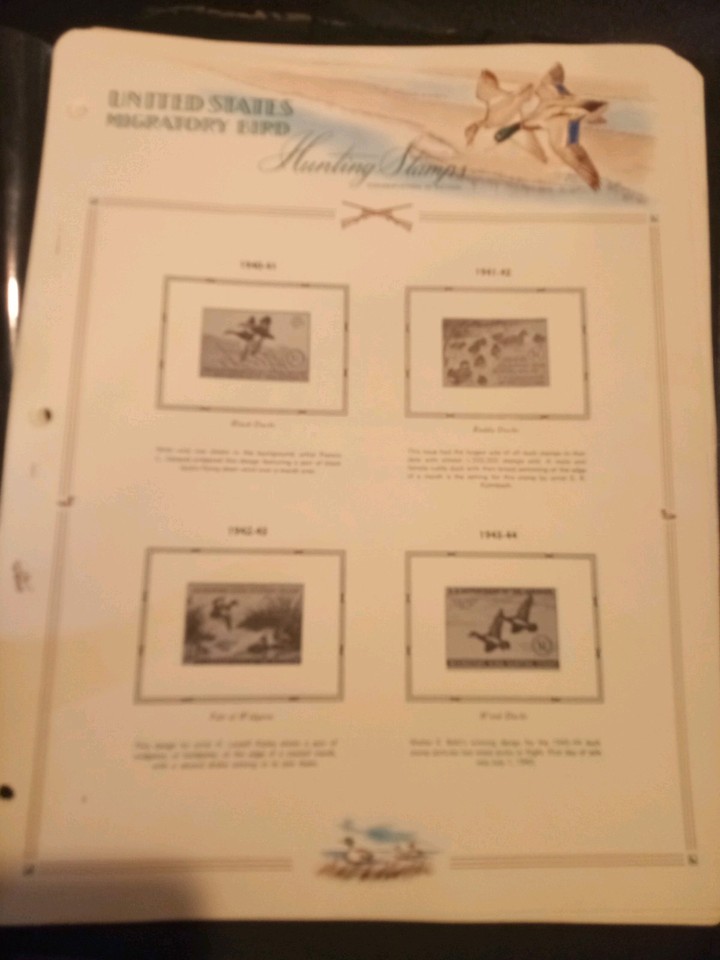 White Ace Collection Book And The Migratory Bird Duck Stamps I've Collected. | eBay