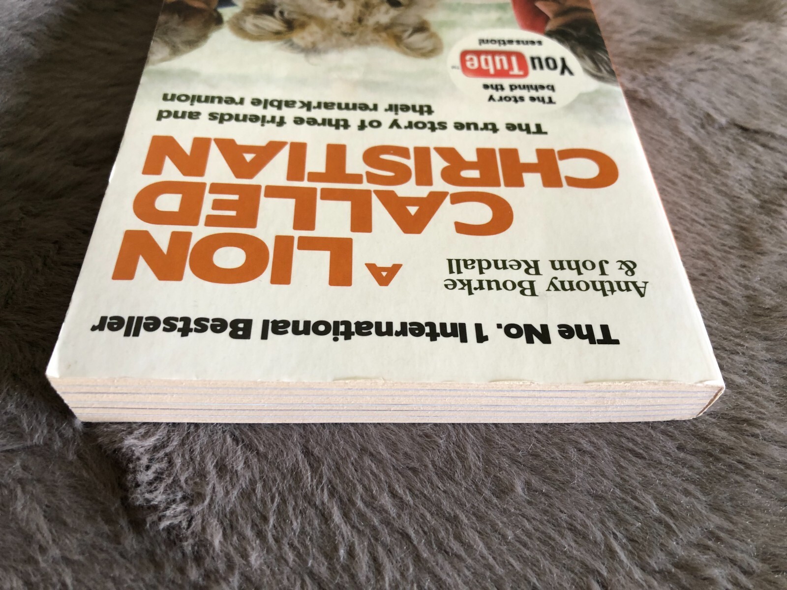 A Lion Called Christian by Anthony Bourke, John Rendall (Paperback ...