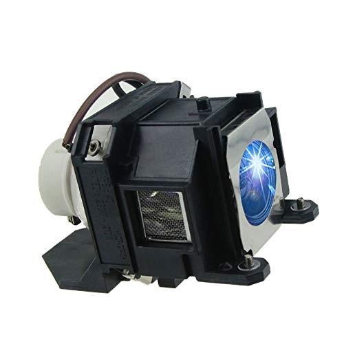 V13H010L40 / ELPLP40 Replacement Projector Lamp with Housing for Epson ...