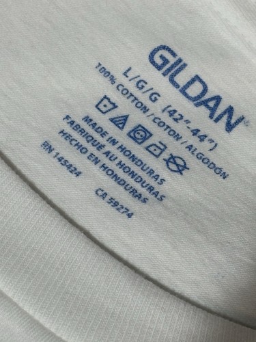 mens graphic t shirt Lion Of God LG Tee With Motivational Saying Cotton ...