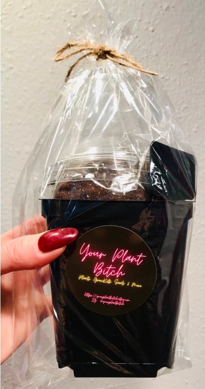 Yellow Faced Orchid Seeds ~ Orchids ~ Usual Flowers ~ Exotic Flower ...