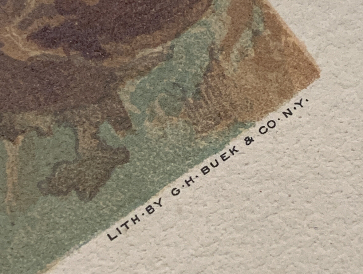 1885 H.A. Ogden Lithograph Artillery Infantry Rifle Dragoon Cadet 1813 ...